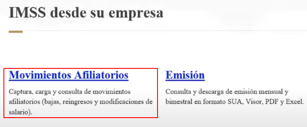 Factura Electronica | IMSS IDSE